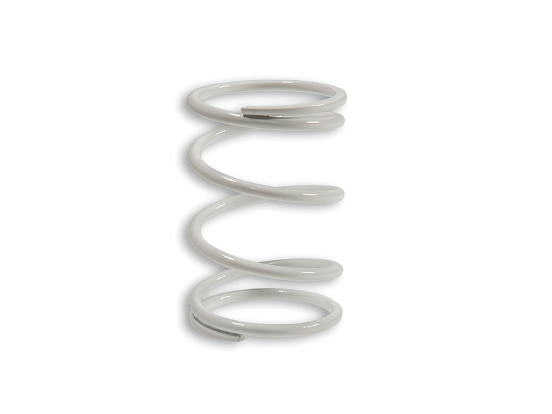 Resorte Clutch Blanco Kymco Xciting 400i Malossi 9k – Motos Hotwheels