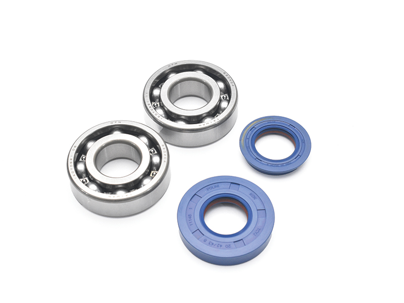 Kit Rodamientos Cigueñal Yamaha Jog 50 Polini – Motos Hotwheels